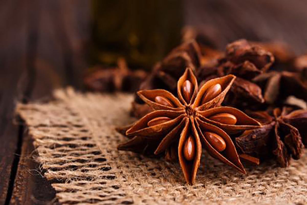 Fact of the Week: Star Anise – Life Sprout Bioceuticals™