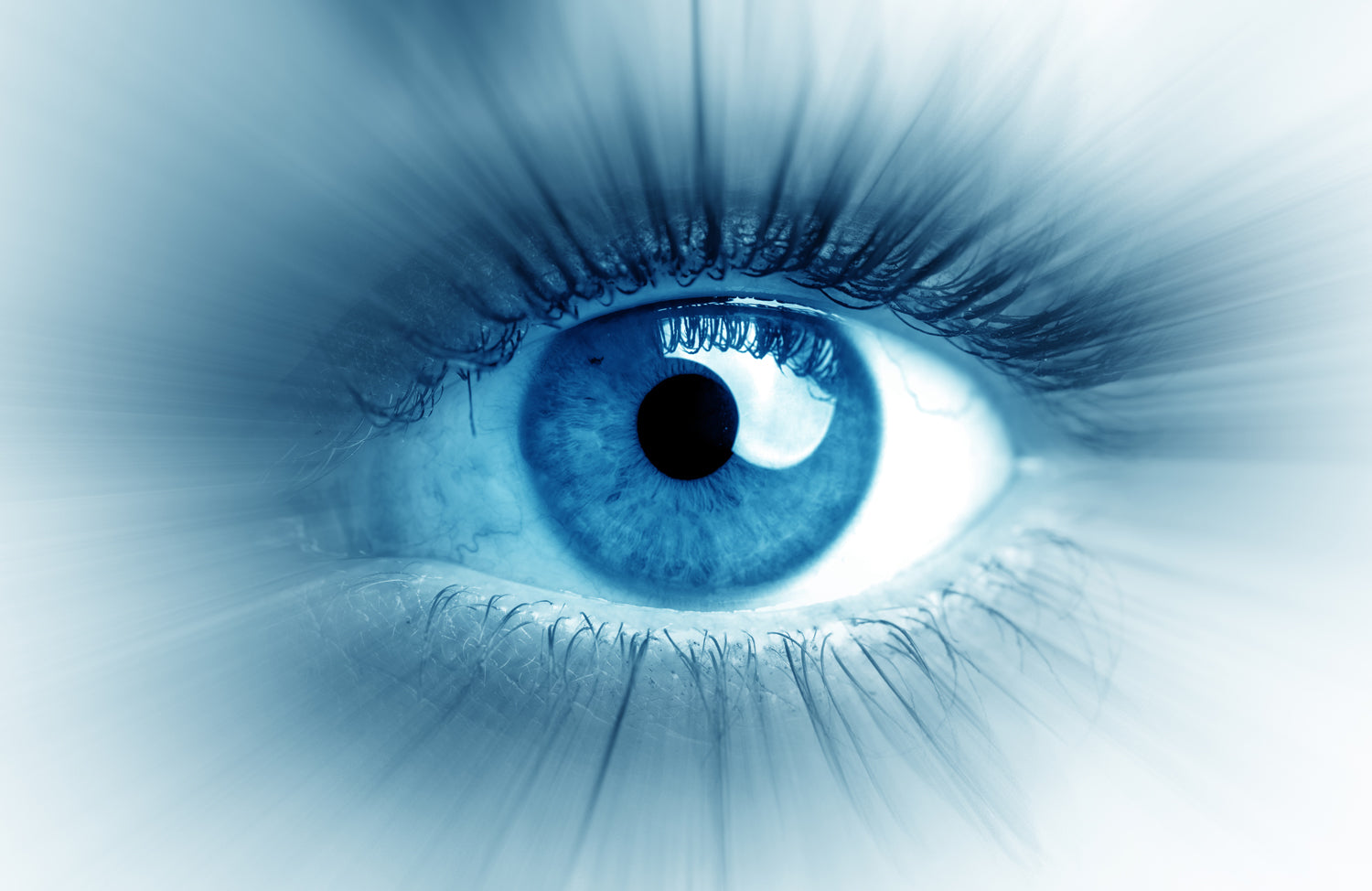 A Closer Look at Macular Degeneration – Life Sprout Bioceuticals™