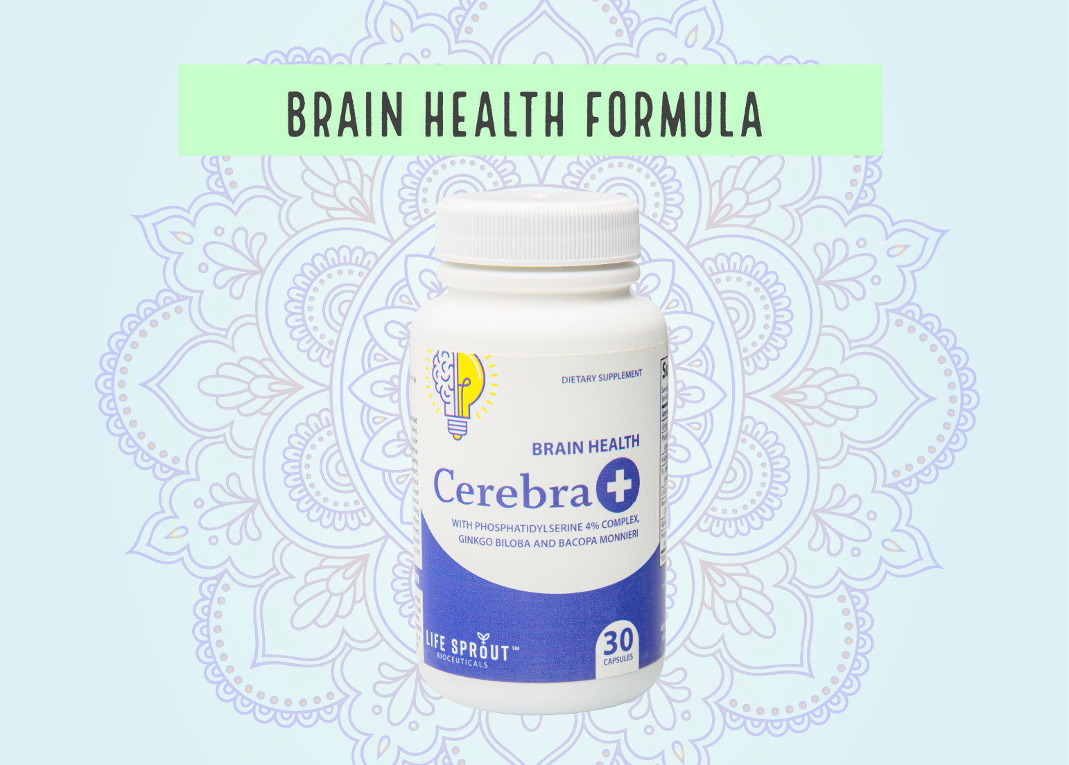 What is Cerebra+: Your Hidden Ace for Crystal-Clear Thinking and Memor ...