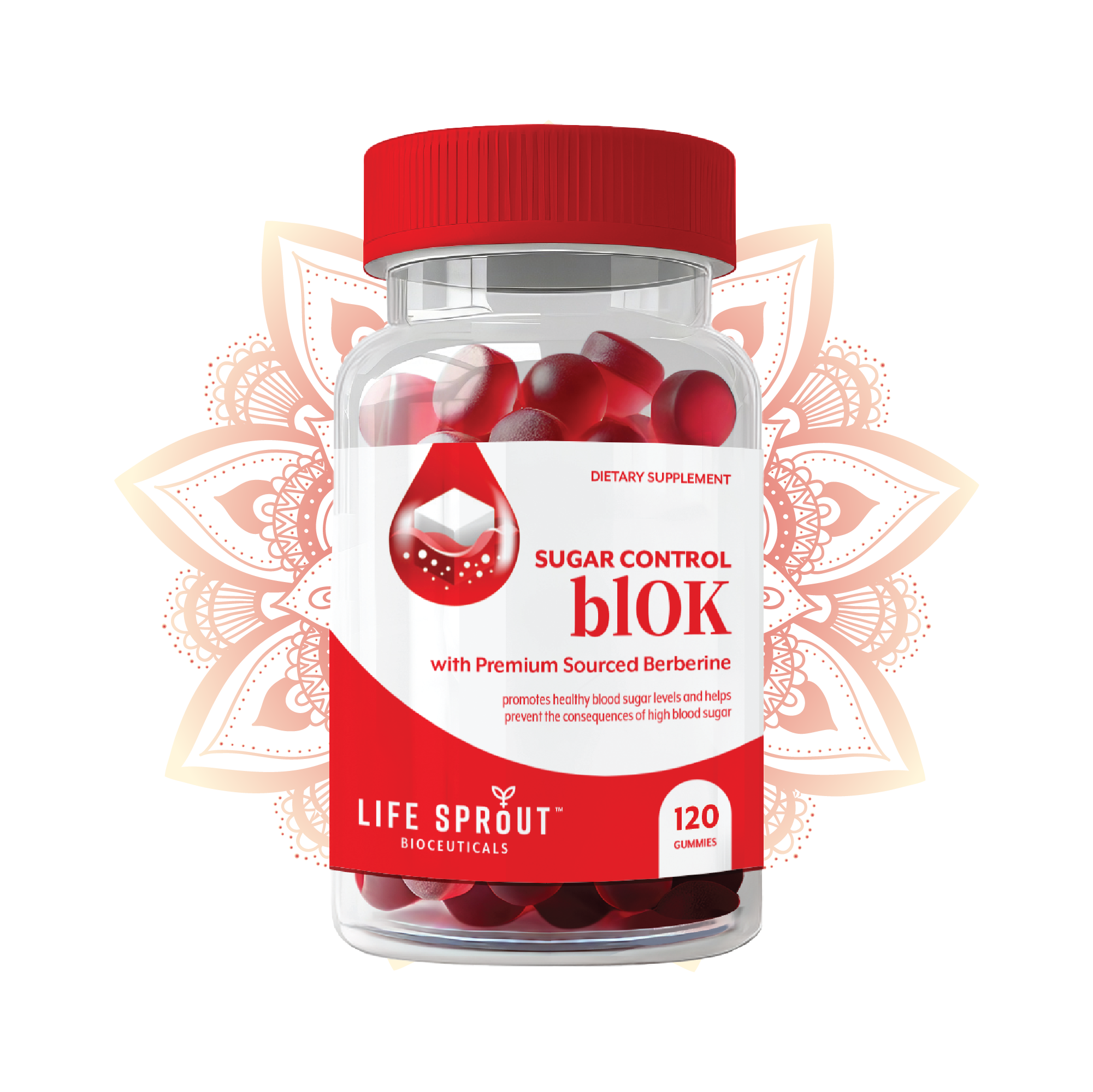blOK | Blood Sugar Control | All Natural Supplement – Life Sprout ...
